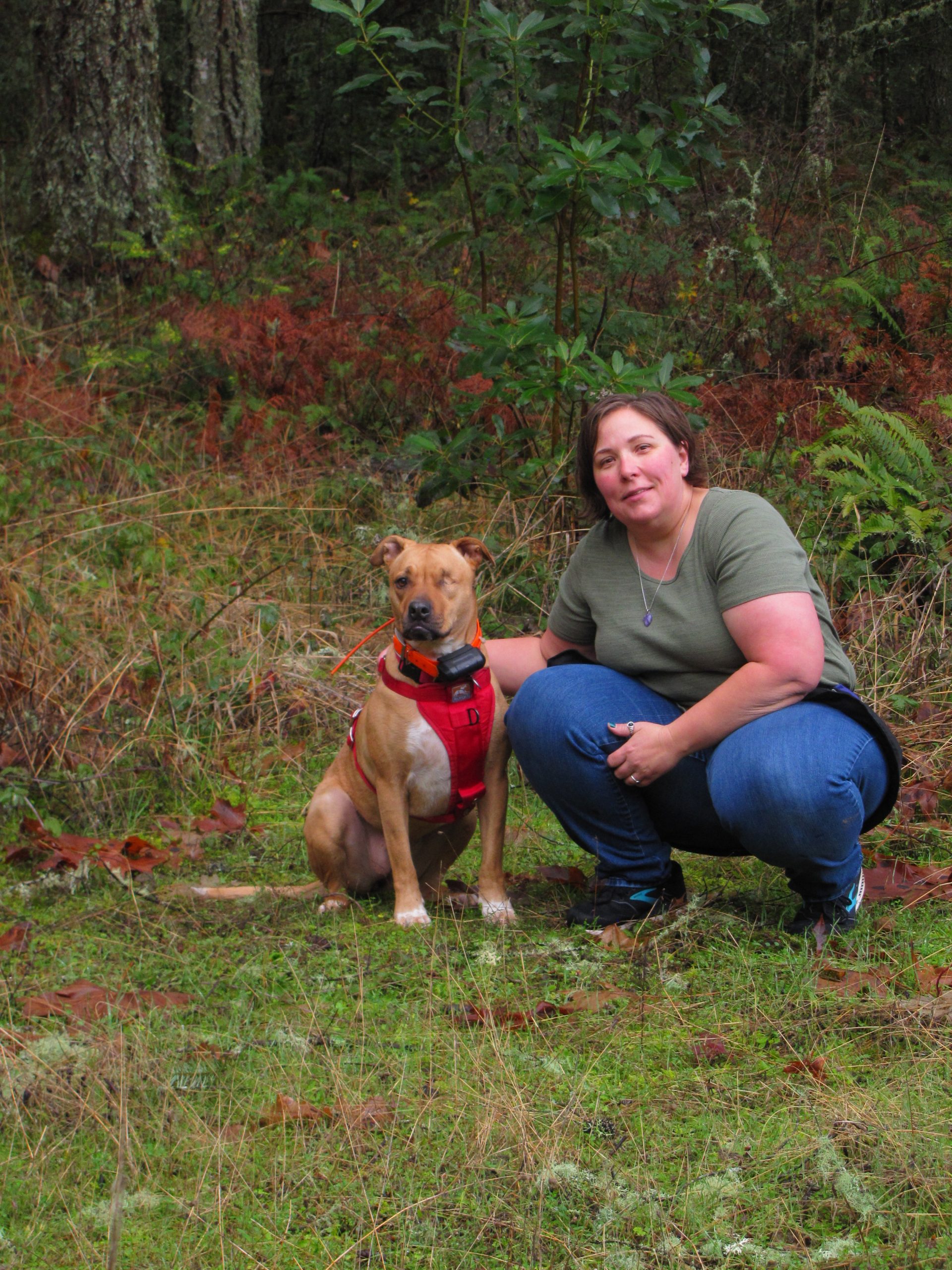 Pawesome Pet Services – Business