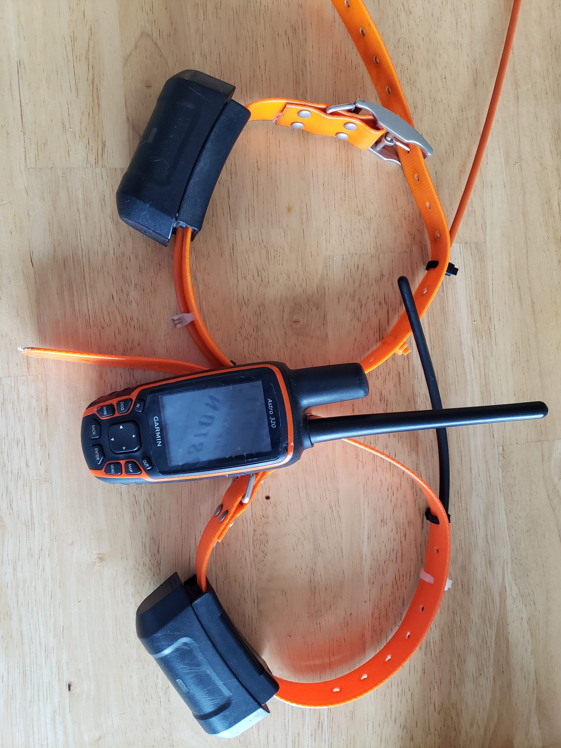 Garmin Astro GPS Collars – Pawesome Pet Services