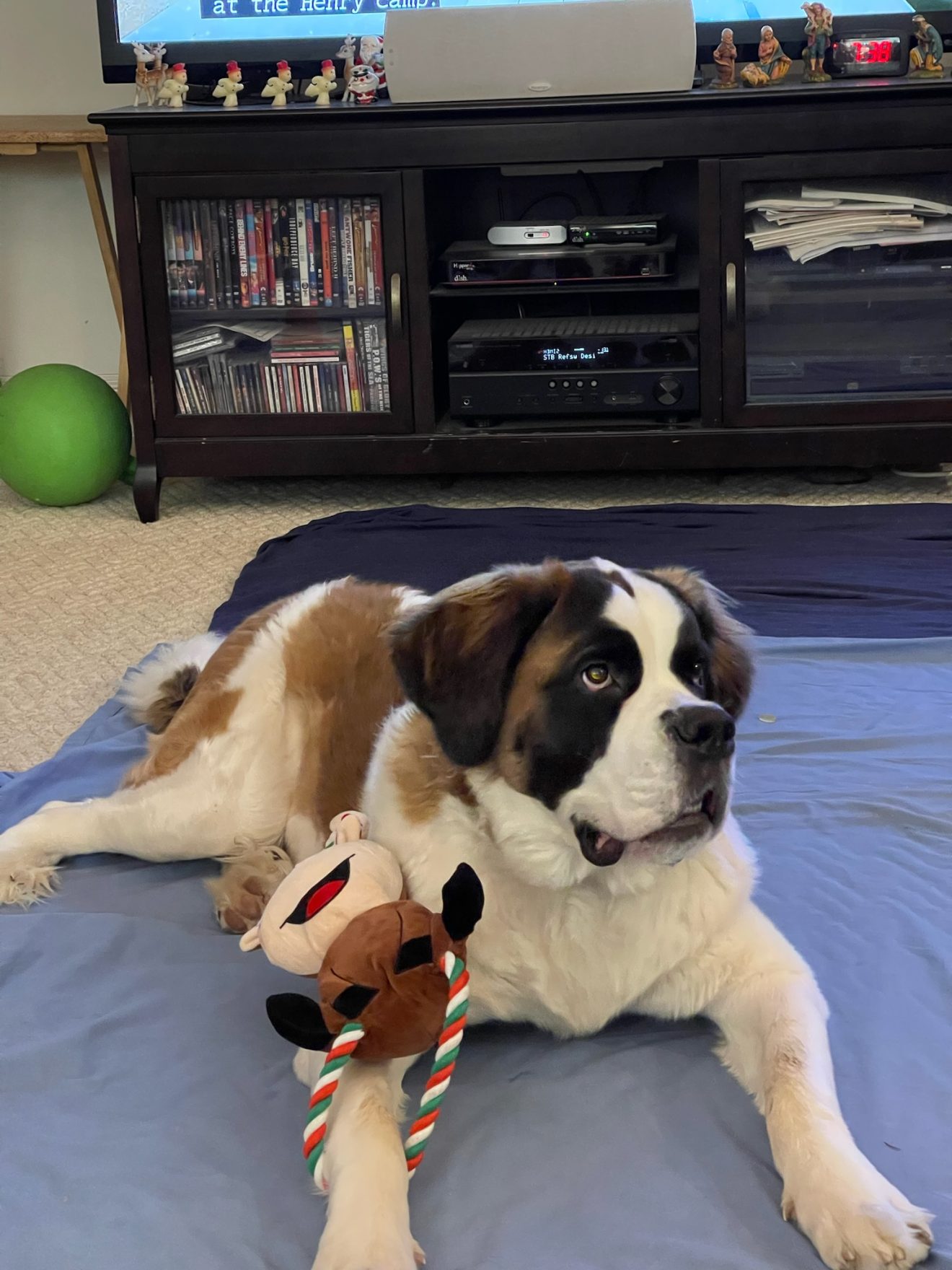 Testimonials – Pawesome Pet Services