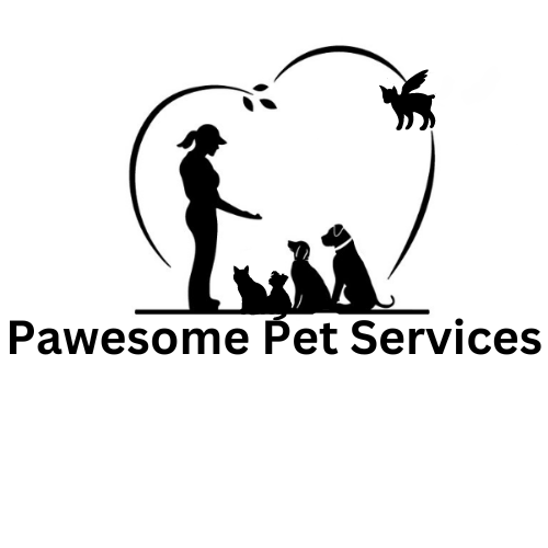 Training Options – Pawesome Pet Services